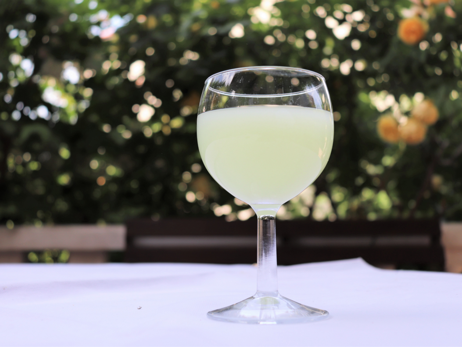 French drink Pastis: What it is, Degrees and How to take it - La Tramuntana